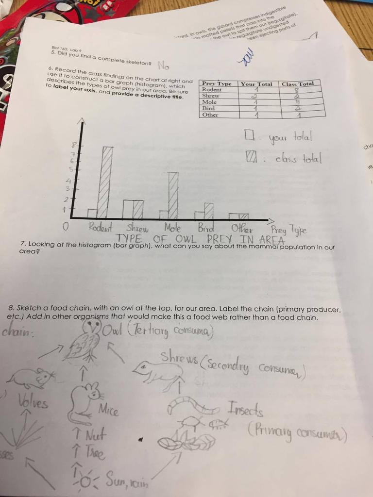 Solved Did you find a complete skeleton? Records the class | Chegg.com