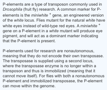 Solved P-elements are a type of transposon commonly used in | Chegg.com