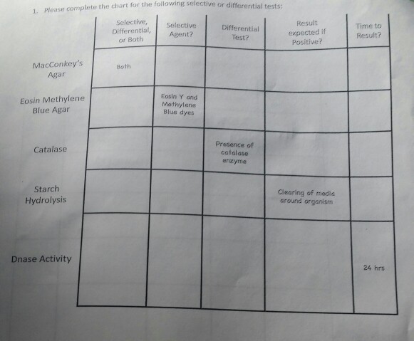 Solved differential tests: 1. Please complete the chart for | Chegg.com