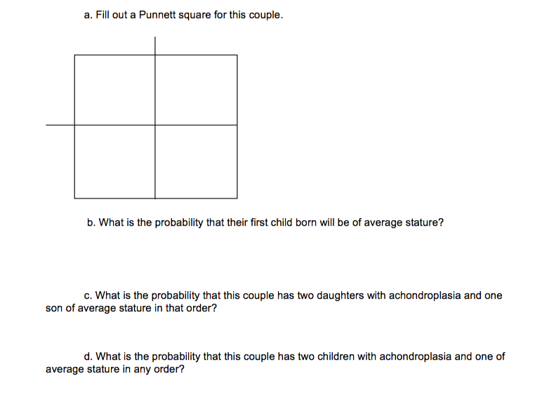 Achondroplasia Dwarfism Punnett Square
