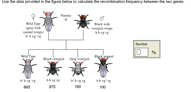 Solved Use the data provided in the figure below to | Chegg.com