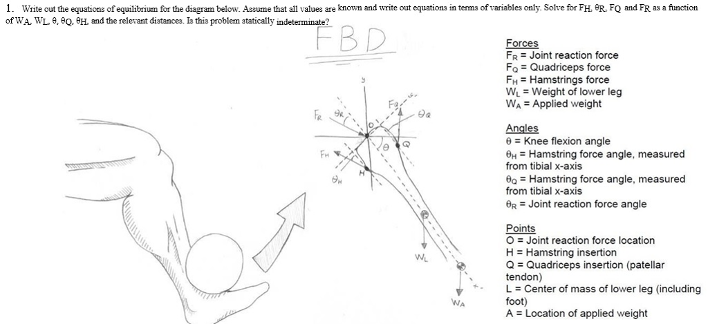 Please write out the Fx and Fy equations of | Chegg.com