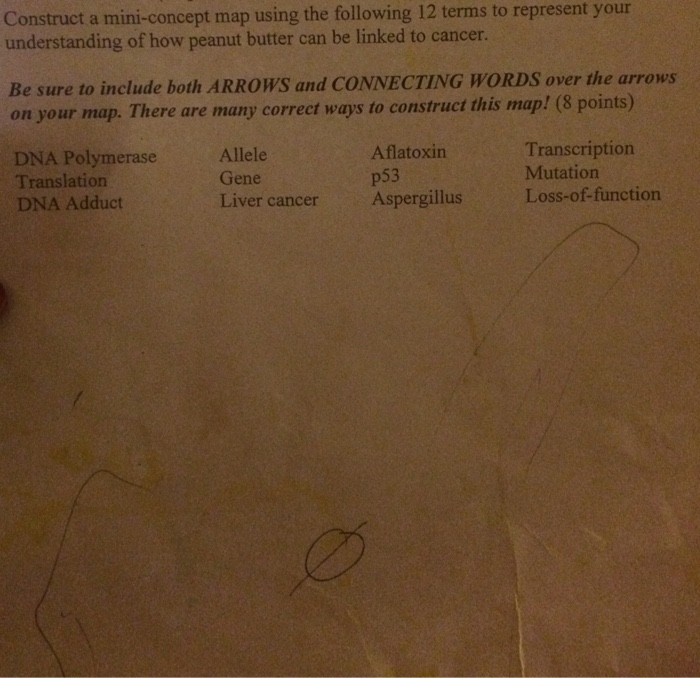 Solved Construct a mini-concept map using the following 12 | Chegg.com