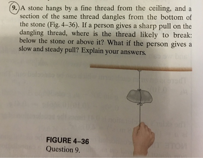Solved A stone hangs by a fine thread from the ceiling, and | Chegg.com