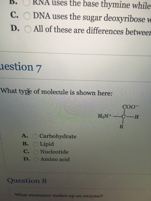 Solved What type of molecule is shown here: Carbohydrate | Chegg.com