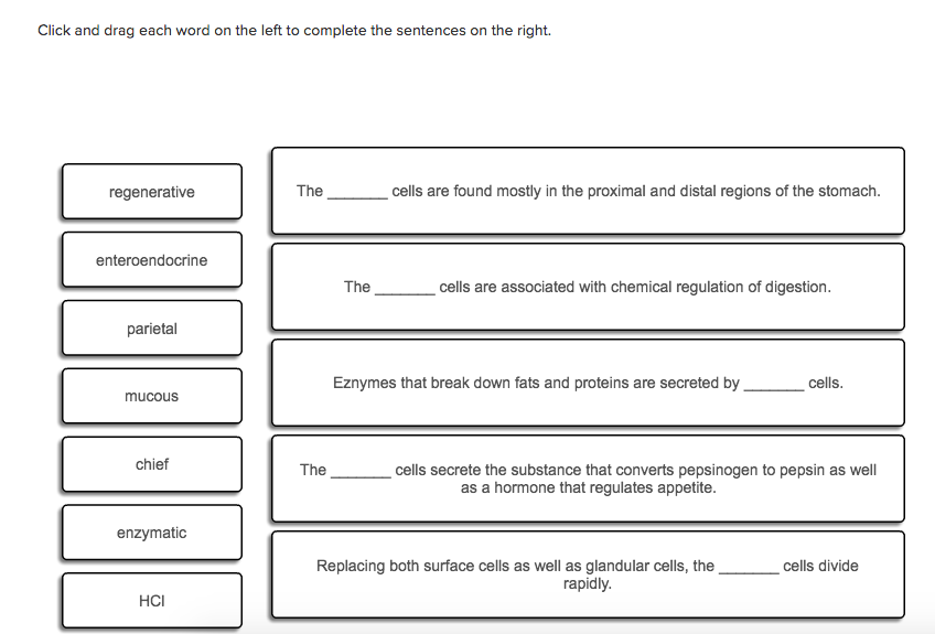 Solved Click and drag each word on the left to complete the | Chegg.com