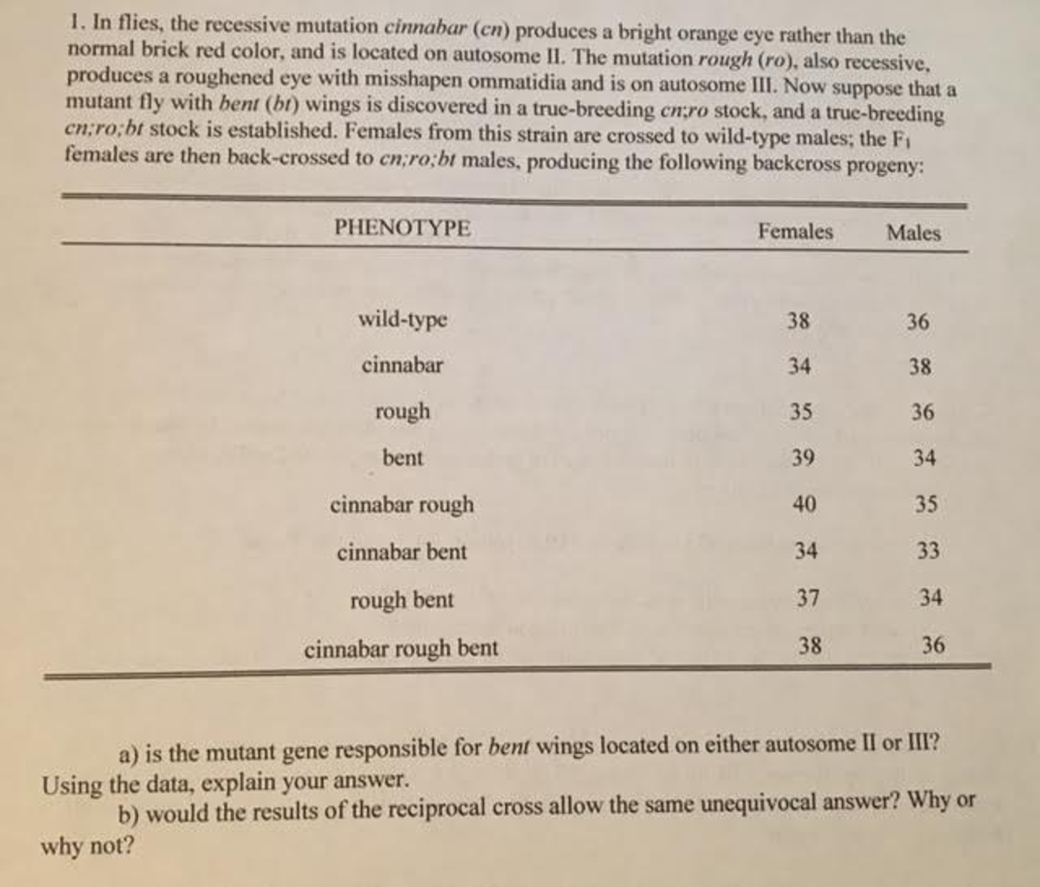 Solved In flies, the recessive mutation cinnabar (cn) | Chegg.com