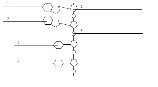 Dna Diagram Blank