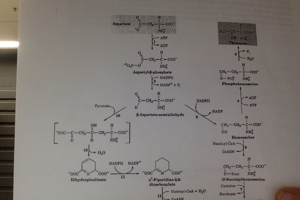 Solved a) Is reaction 1 likely a highly favourable reaction, | Chegg.com
