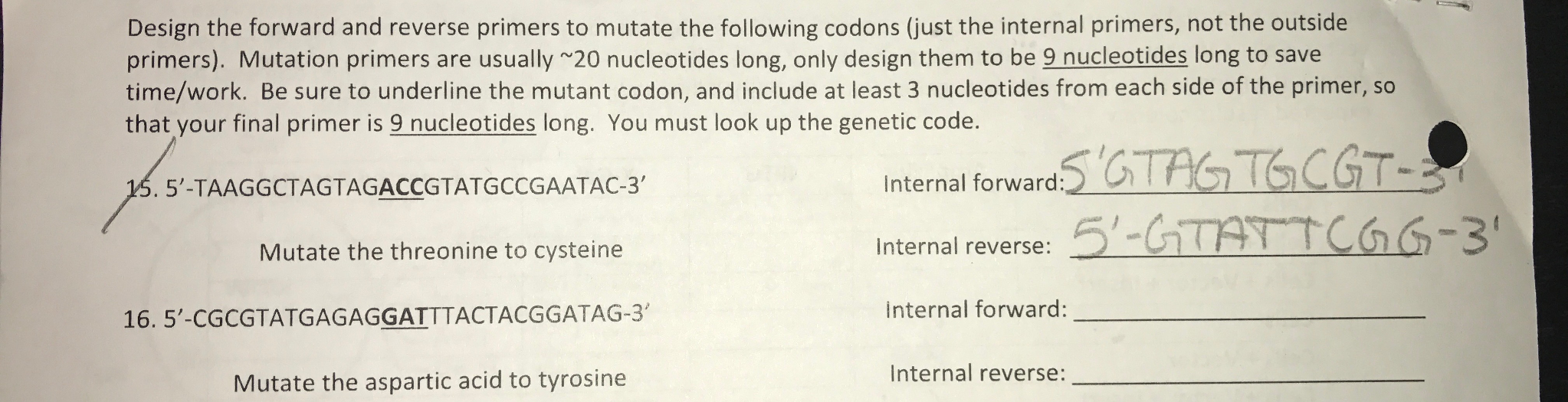 Solved 16.) Design the forward and reverse primers to mutate | Chegg.com