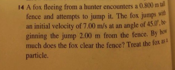 Solved A fox fleeing from a hunter encounters a 0.800 m tall | Chegg.com