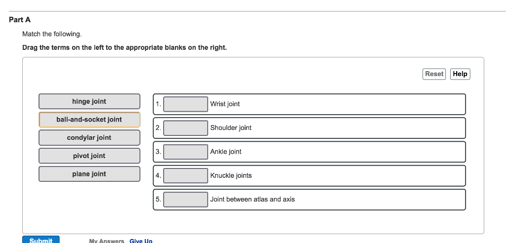 Solved Match the following. Drag the terms on the left to | Chegg.com