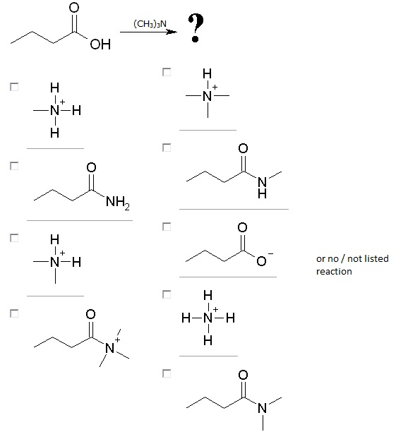 Solved (CH3)3N OH 匚H N-H O NH N-H O or no / not listed | Chegg.com