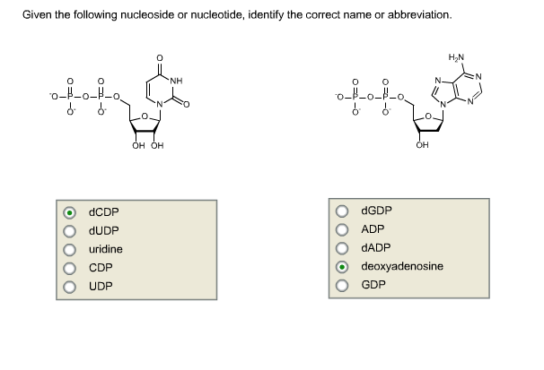 Solved Given the following nucleoside or nucleotide, | Chegg.com