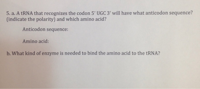 Solved A tRNA that recognizes the codon 5' UGC 3' will have | Chegg.com