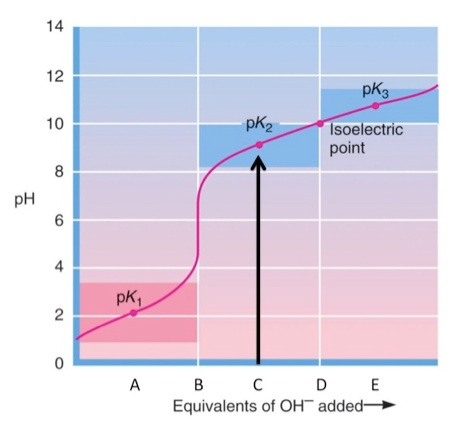 Lysine Titration Curve