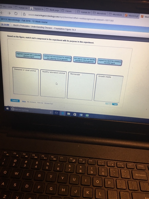 Solved Based on the figure, match each component in the | Chegg.com