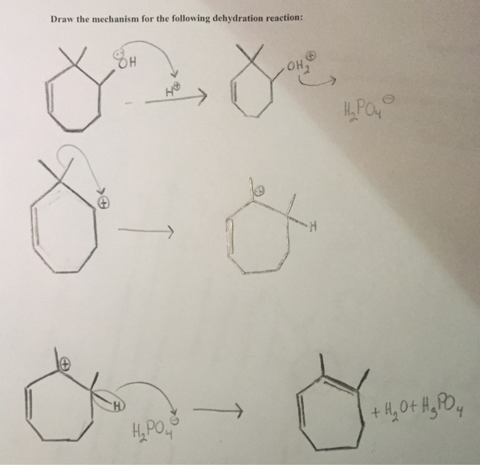 Solved 1) Predict the following major alkene product that | Chegg.com