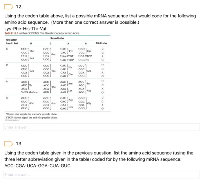 Solved Using the codon table above, list a possible mRNA | Chegg.com
