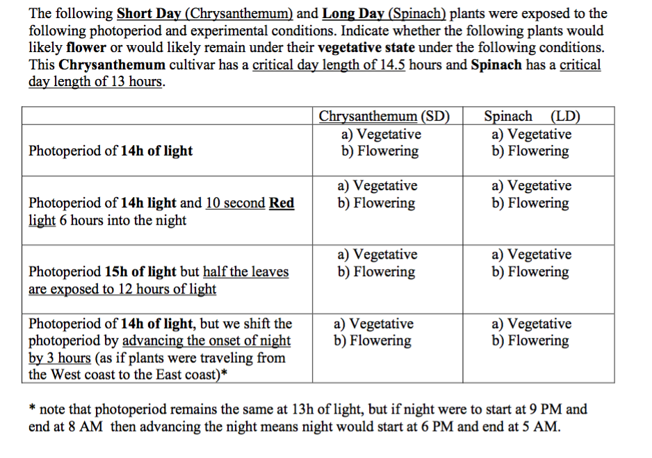 Solved The following Short Day (Chrysanthemum) and Long Day | Chegg.com
