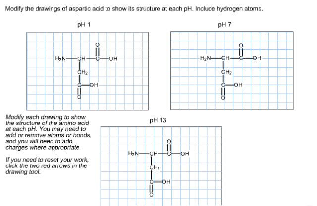 Solved Modify the drawings of aspartic acid to show its | Chegg.com Solved Modify the drawings of aspartic acid to show its | Chegg.com