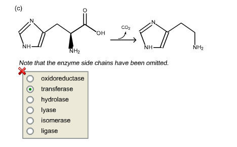 Solved For the enzymatically catalyzed reactions shown | Chegg.com
