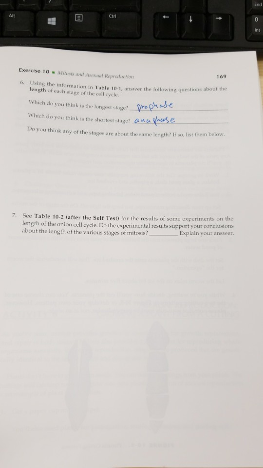 Solved End Ctrl Alt Ins Exercise 10 Mitosis and Asexual | Chegg.com