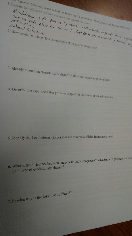 Solved L Answer (Spts, ea.) Answer8 of the following 12 | Chegg.com Solved L Answer (Spts, ea.) Answer8 of the following 12 | Chegg.com