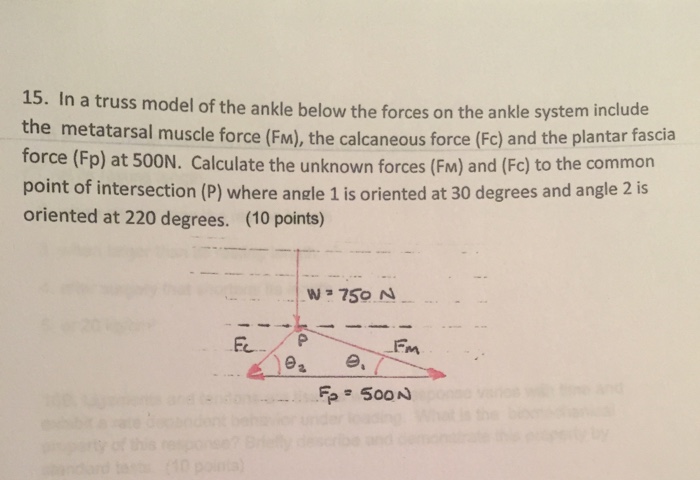 Solved In a truss model of the ankle below the forces on the | Chegg.com