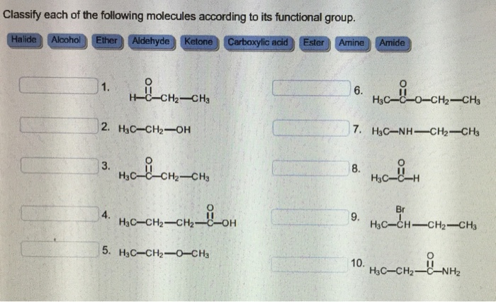 Solved Classify each of the following molecules according to | Chegg.com