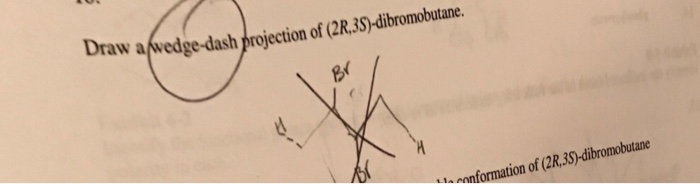 Solved Draw a wedge-dash projection of (2R, 2S)-dibromo | Chegg.com
