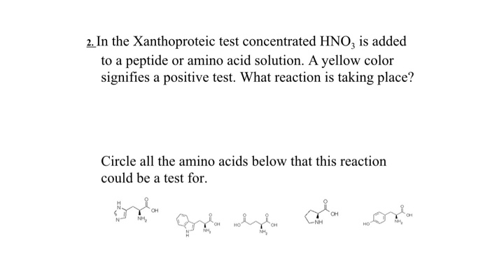 Solved In the Xanthoproteic test concentrated HNO_3 is added | Chegg.com