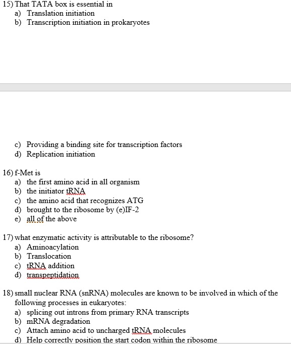 Tata Box Dna Replication
