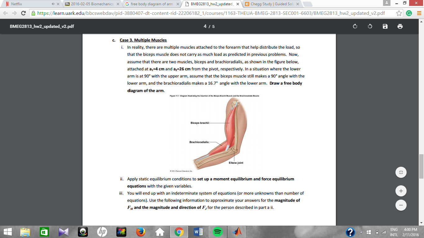 Solved x Bb 2016-02-05 Biomechanics x G free body diagram of | Chegg.com
