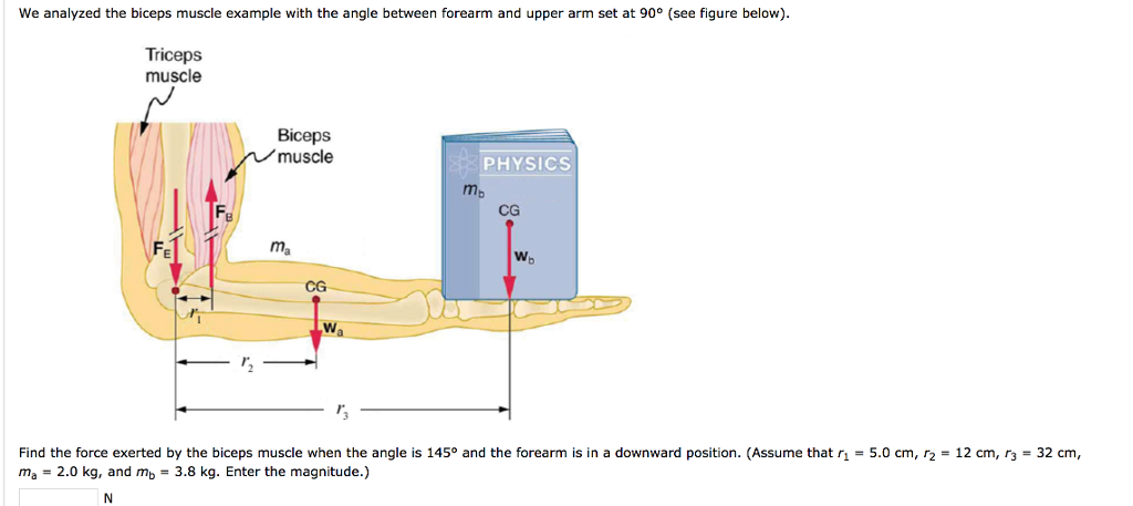 Solved We analyzed the biceps muscle example with the angle | Chegg.com