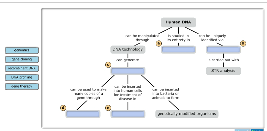 Solved genomics gene cloning recombinant DNA DNA profiling | Chegg.com
