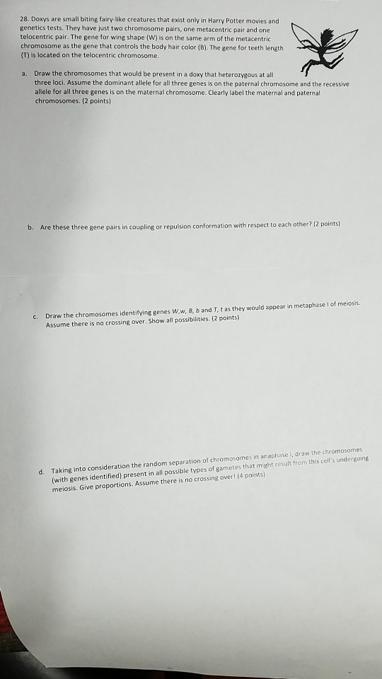 Solved 28. Doxys are small biting fairy-like creatures that | Chegg.com