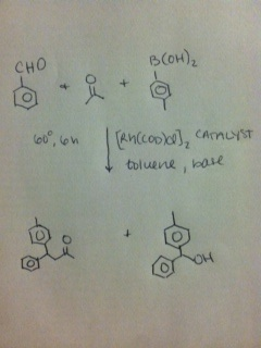 Solved PLEASE propose complete rxn mechanism for at least | Chegg.com