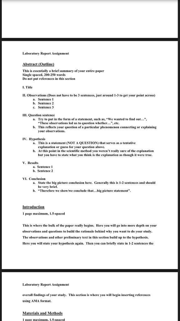 Laboratory Report Assignment Laboratory Report | Chegg.com