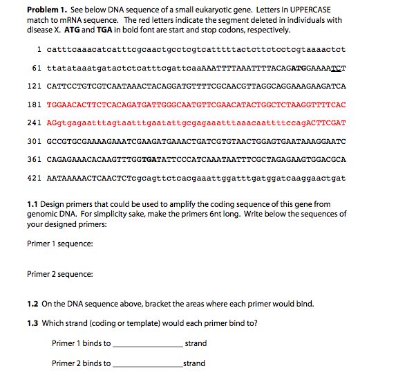 Solved See below DNA sequence of a small eukaryotic gene. | Chegg.com