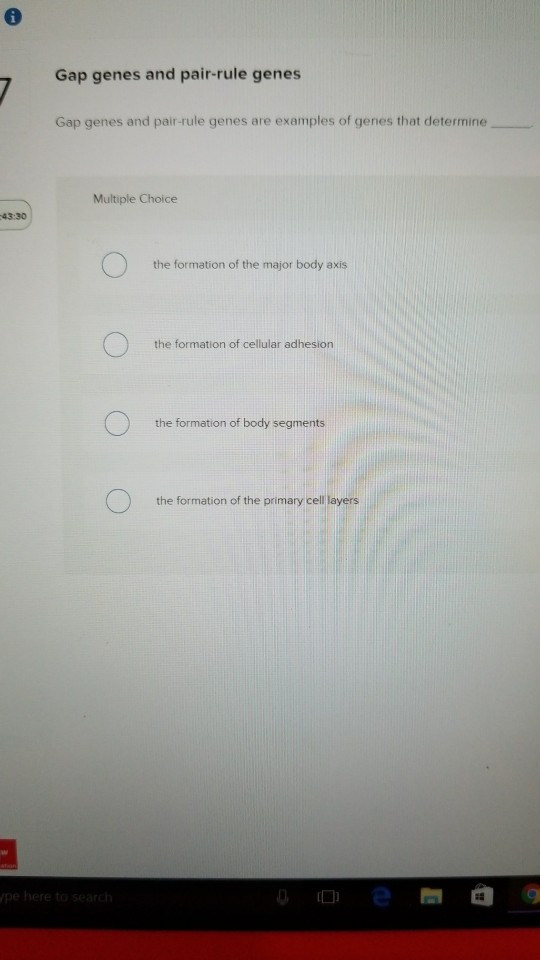 Solved Gap genes and pair-rule genes Gap genes and pair-rule | Chegg.com