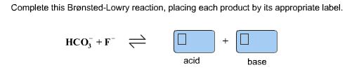 Solved Complete this Brønsted-Lowry reaction, placing each | Chegg.com