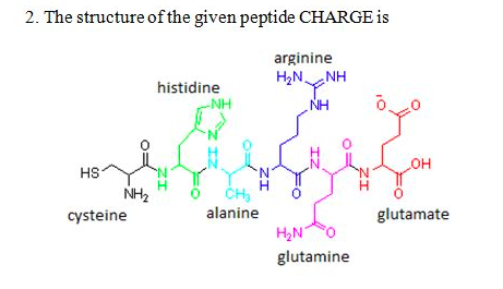 Solved 2. The structure of the given peptide CHARGE is | Chegg.com