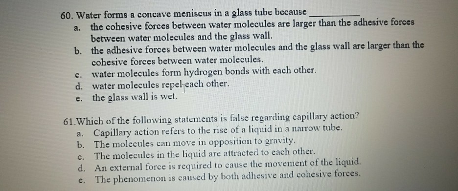 Adhesion Of Water Meniscus