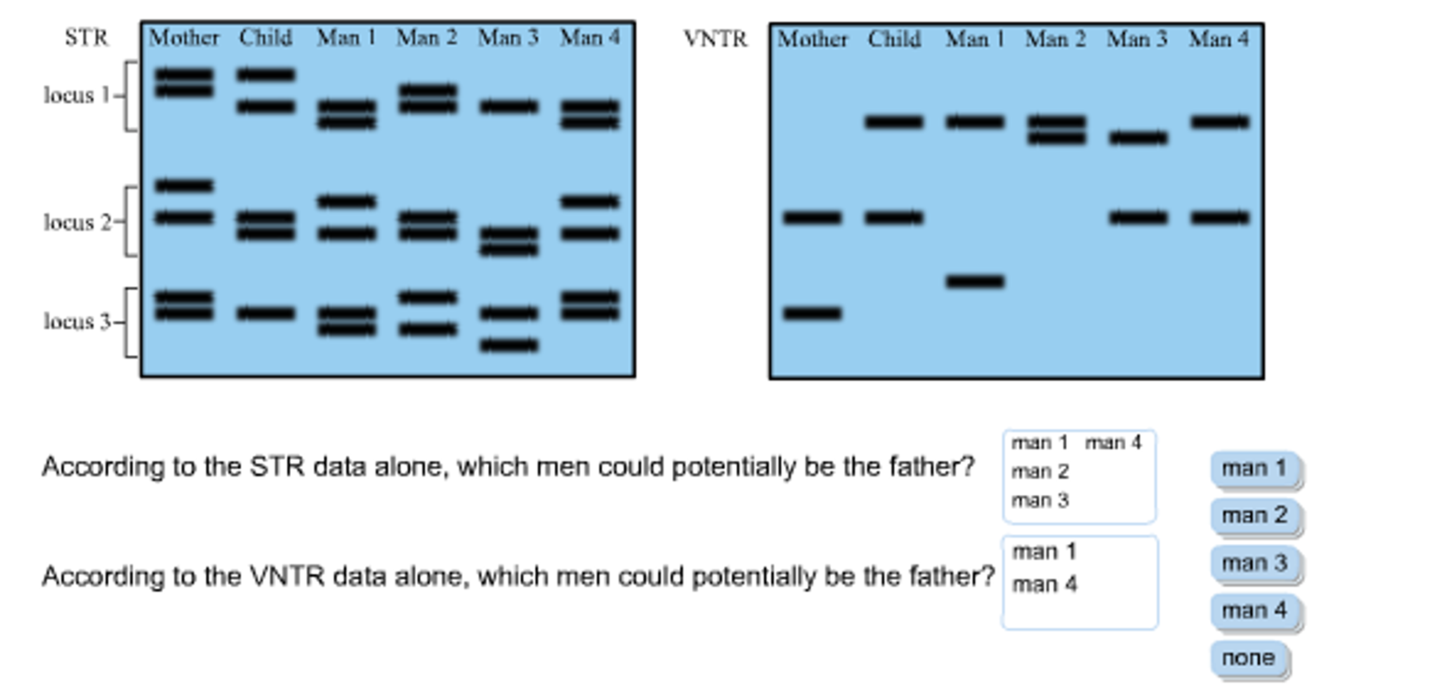 Solved Suppose you are asked by a judge to interpret DNA | Chegg.com