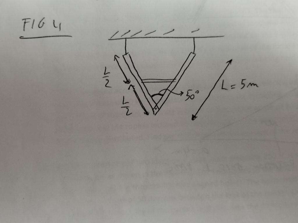 Solved A ladder consisting of two identical halves, each | Chegg.com
