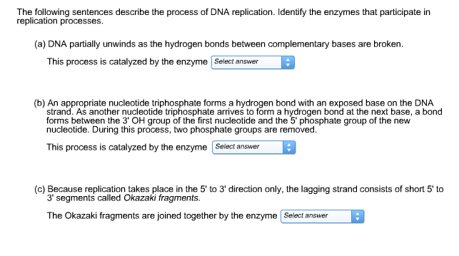 Solved The following sentences describe the process of DNA | Chegg.com