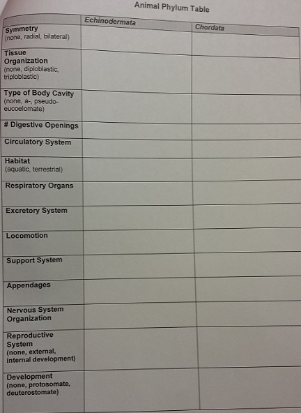 Solved Animal Phylum Table Echinodermata symmetry (none, | Chegg.com