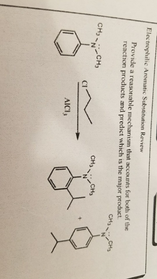 Solved Electrophilic Aromatic Substitution Review Provide | Chegg.com