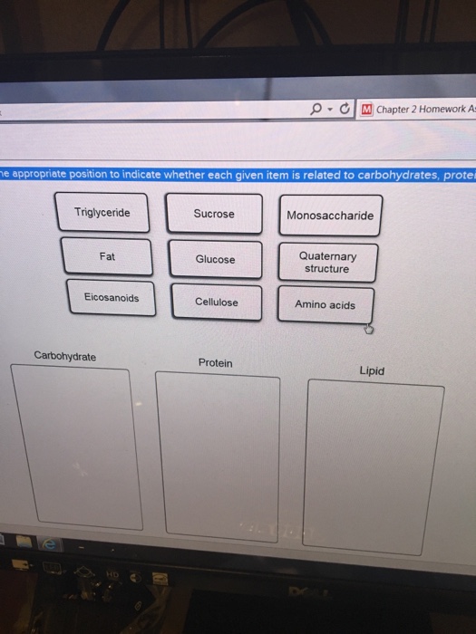 Solved drag each label into the appropriate position to | Chegg.com